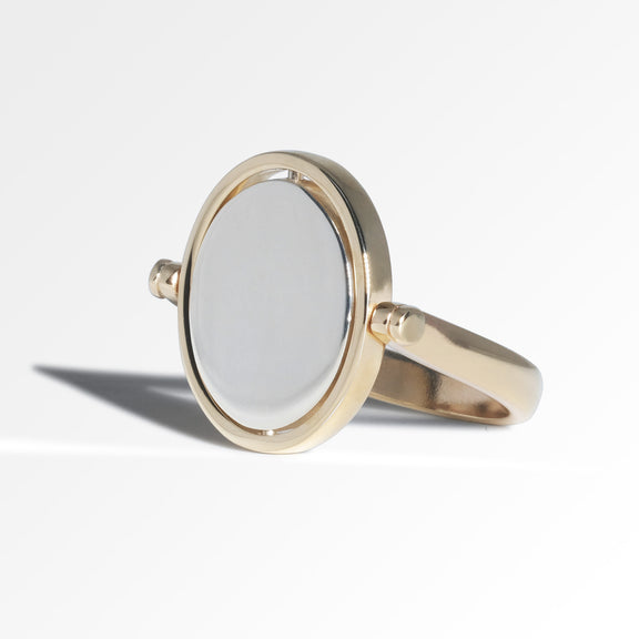 DOUBLE AXIS GOLD AND SILVER RING – Ferian